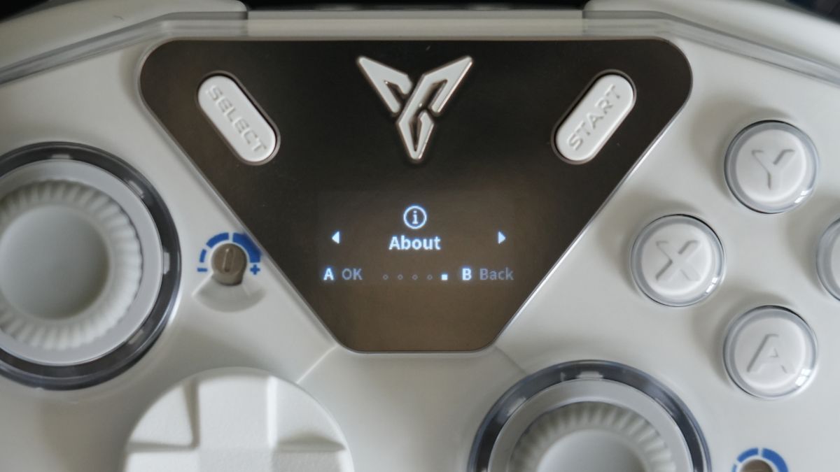 神機！Flydigi APEX4 コントローラー本体の設定で出来ること | グジログ